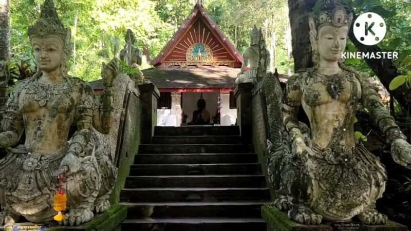 Monks chanting, Wat Doi Suthep and Wat Phalad+ Meditation - Who Will Appreciate This Tour?