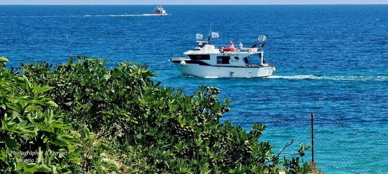 Monopoli: Boat Tour with Swim Stop in the Adriatic Sea - Practical Details and Value