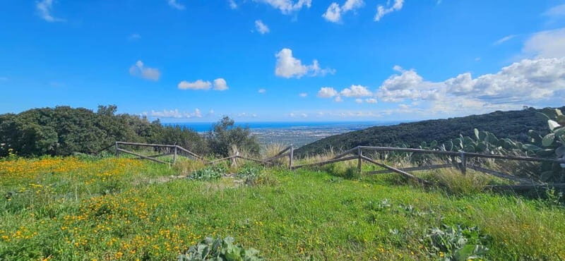 Monopoli: E-bike Ride with Olive Groves & Coastal View - Key Points