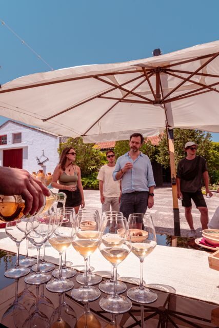 Monopoli: Parco Rurale Tour with Tasting of 3 Apulian Wines - FAQ