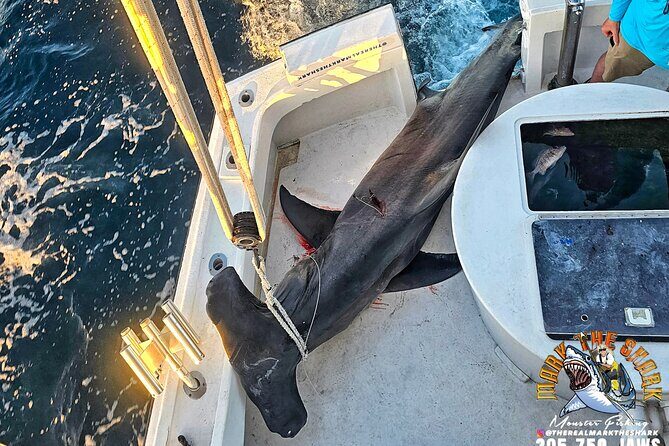 Monster Fishing Experience Tours - Real Experiences and Reviews