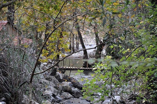 Monster Green Canyon Safari with Lunch - Who Should Consider This Tour?