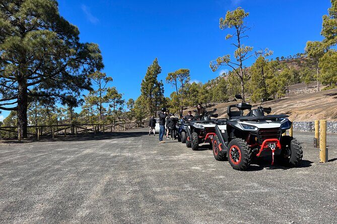 Monster Quad Teide Tour - Introduction: An Adventure for Curious Travelers