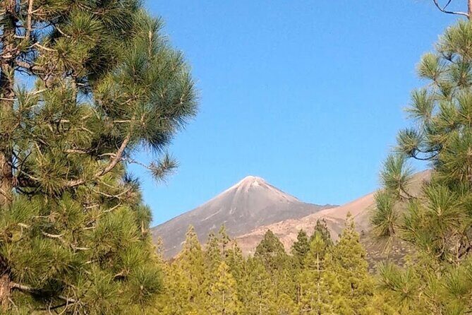 Monster Quad Teide Tour - What We Found in the Reviews