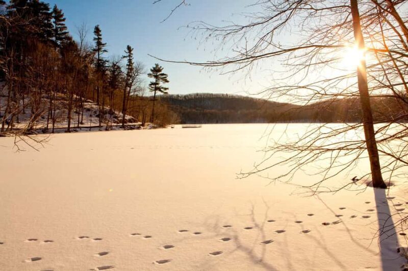 Mont-Saint-Bruno: Park Entry with Fat-bike and Snowshoeing - Duration and Timing