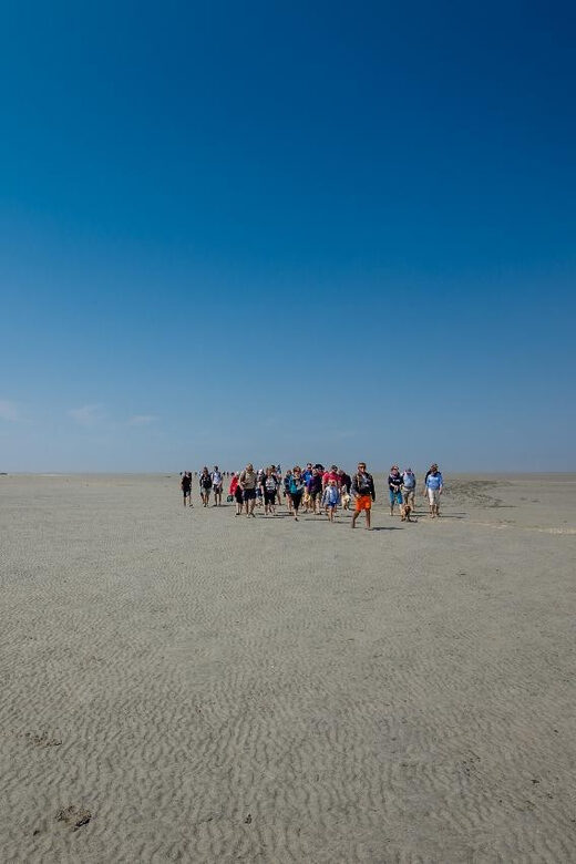 Mont Saint-Michel : Walk with an English-speaking guide - Detailed Review of the Mont Saint-Michel Bay Walk