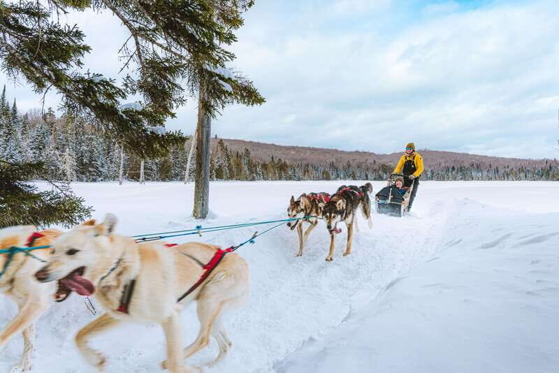 Mont-Tremblant: Dogsledding Upper Laurentians - A Deep Dive into the Experience
