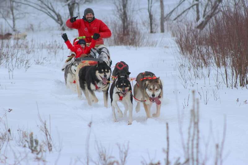 Mont-Tremblant: Dogsledding Valley Adventure - The Itinerary and What You’ll Experience
