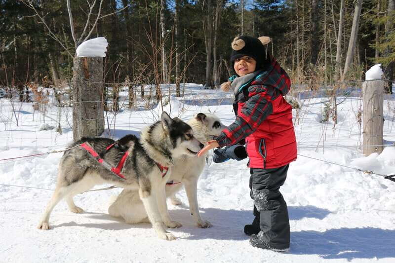 Mont-Tremblant: Dogsledding Valley Adventure - Final Thoughts on Value and Authenticity