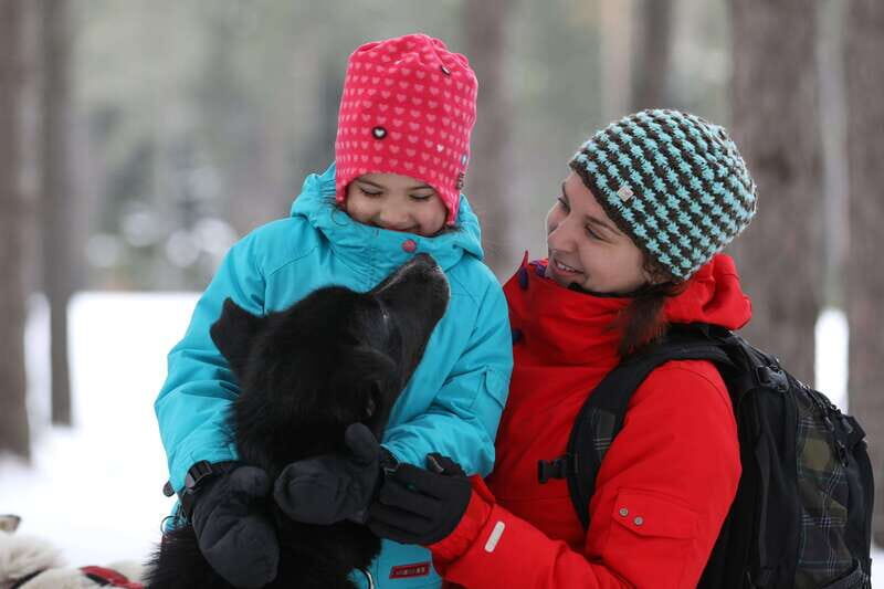 Mont-Tremblant: Guided Dogsledding Tour with Hot Chocolate - An In-Depth Look at the Mont-Tremblant Dogsledding Tour