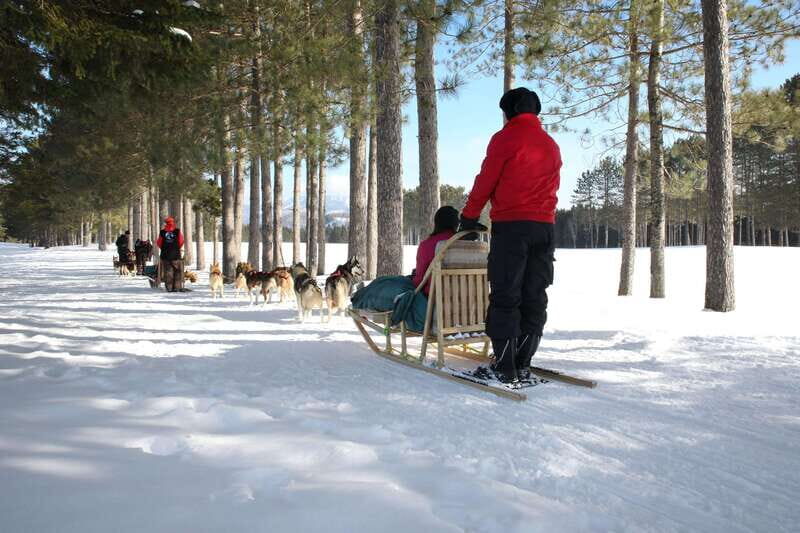 Mont-Tremblant: Guided Dogsledding Tour with Hot Chocolate - Why This Tour Is a Great Choice