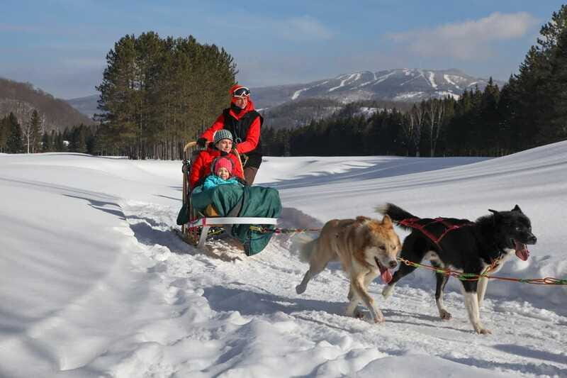 Mont-Tremblant: Guided Dogsledding Tour with Hot Chocolate - Final Thoughts
