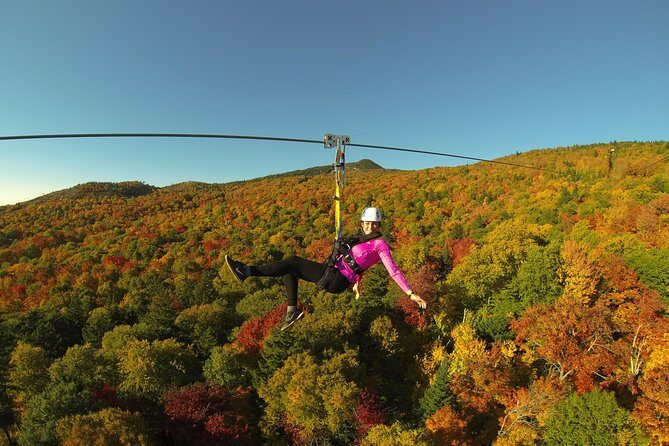 Mont Tremblant Guided Zipline Tour - Experience the Journey: A Closer Look at the Zipline Adventure