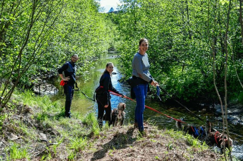 Mont-Tremblant: Sled Dog Hiking Experience - A Closer Look at the Experience