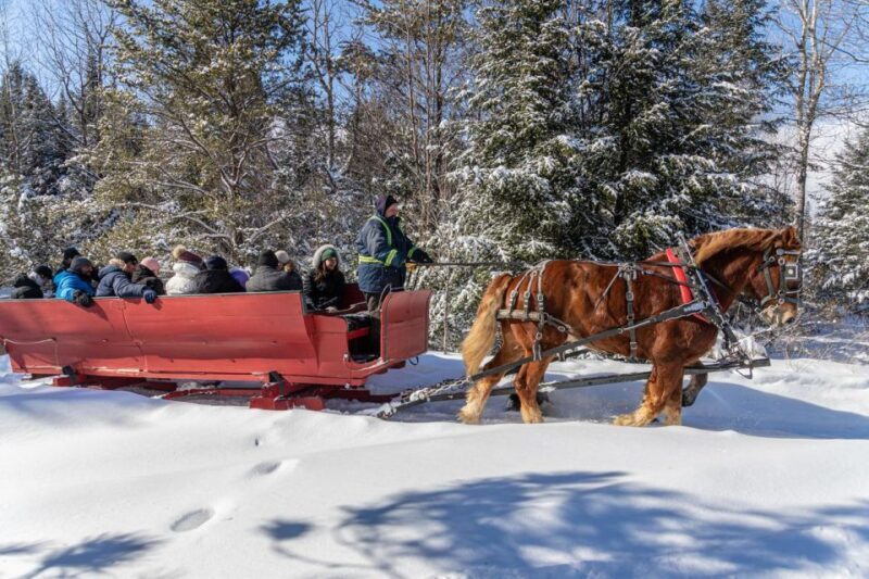 Mont-Tremblant: Sleigh Ride w/ Storytelling & Hot Chocolate - An In-Depth Look at the Mont-Tremblant Sleigh Ride