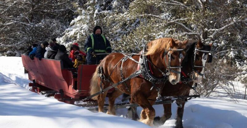 Mont-Tremblant: Sleigh Ride w/ Storytelling & Hot Chocolate - The Sum Up: Is It Worth It?