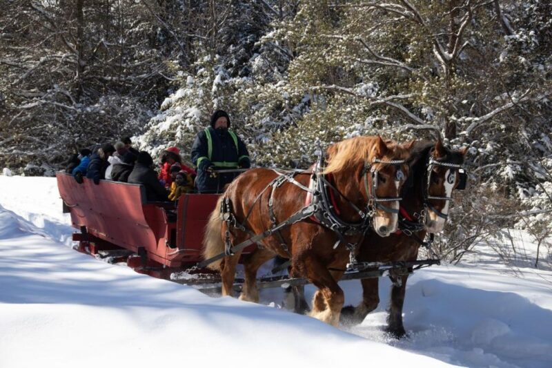 Mont-Tremblant: Sleigh Ride w/ Storytelling & Hot Chocolate - FAQ