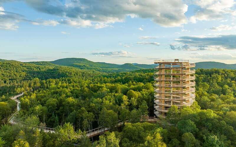 Mont-Tremblant: Treetop Observatory and Self-Guided Walk - A Detailed Look at the Mont-Tremblant Treetop Observatory & Walk Experience
