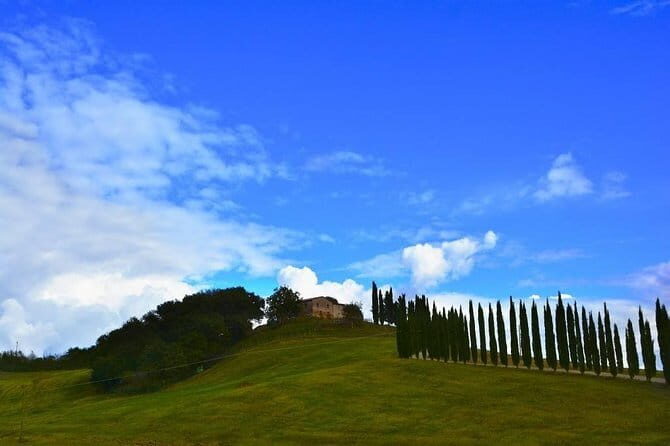 Montalcino and Brunello Wine Private Tour - Key Points