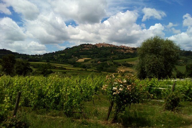 Montalcino and Pienza Tuscany Wine&Cheese ShoreExcursion from Civitavecchia Port - The Landscape: UNESCO’s Crown Jewel