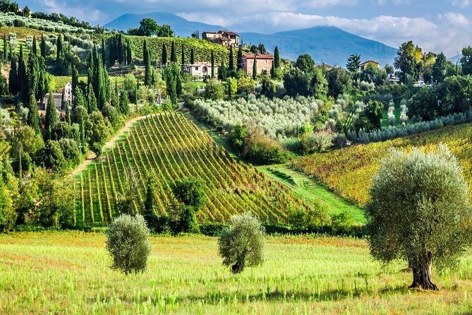 Montalcino and Pienza Tuscany Wine&Cheese ShoreExcursion from Civitavecchia Port - Who Is This Tour Best For?