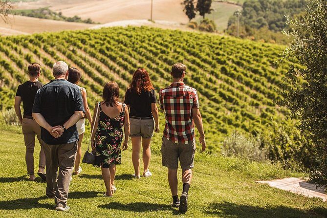 Montalcino Castle and Vineyards tour with tasting - Exploring the Vineyards and Cellars