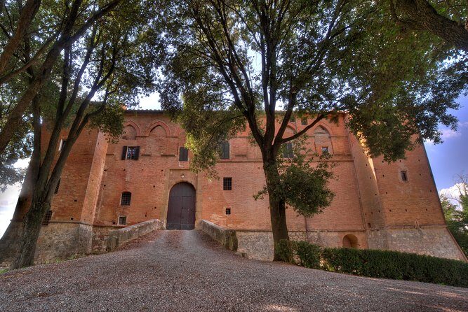 Montalcino Castle and Vineyards tour with tasting - Pros and Cons: What Travelers Should Know