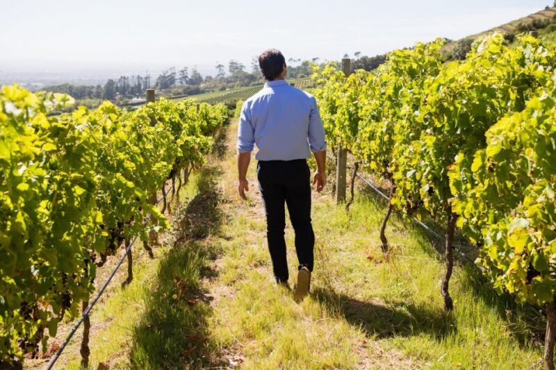 Montalcino: Castle and Vineyards Tour with Tasting - Key Points