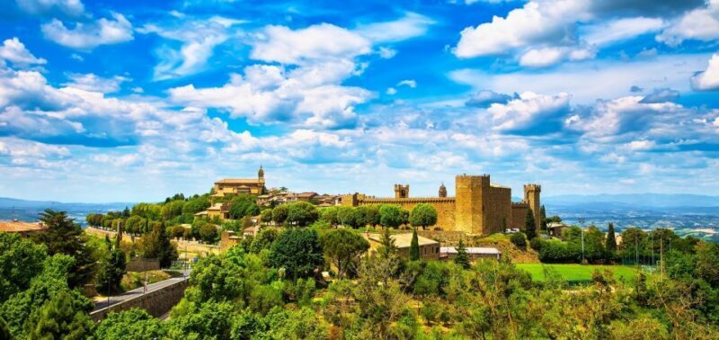 Montalcino: Castle and Vineyards Tour with Tasting - What Does This Tour Offer for Your Money?