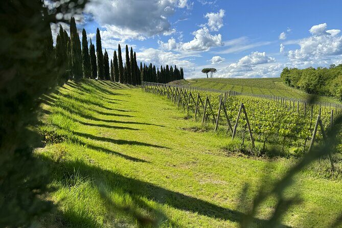 MONTALCINO Essence: Your PRIVAT E-Bike Experience, Top Quality! - A Detailed Look at the MONTALCINO Essence E-Bike Tour