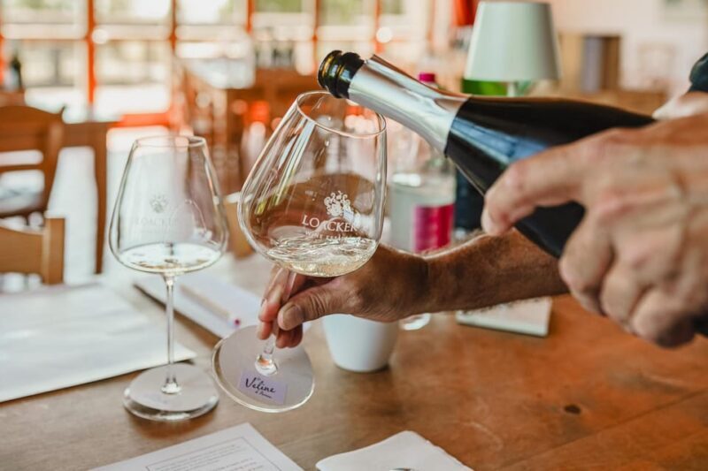 Montalcino: Guided Winery Tour & Gourmet Food Tasting - Who Will Benefit Most from This Tour?