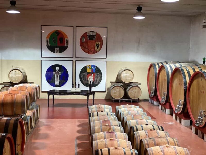 Montalcino: Molino Winery Tour & Wine Tasting - Discovering Tuscany’s Soul: Molino Winery Tour & Wine Tasting in Montalcino