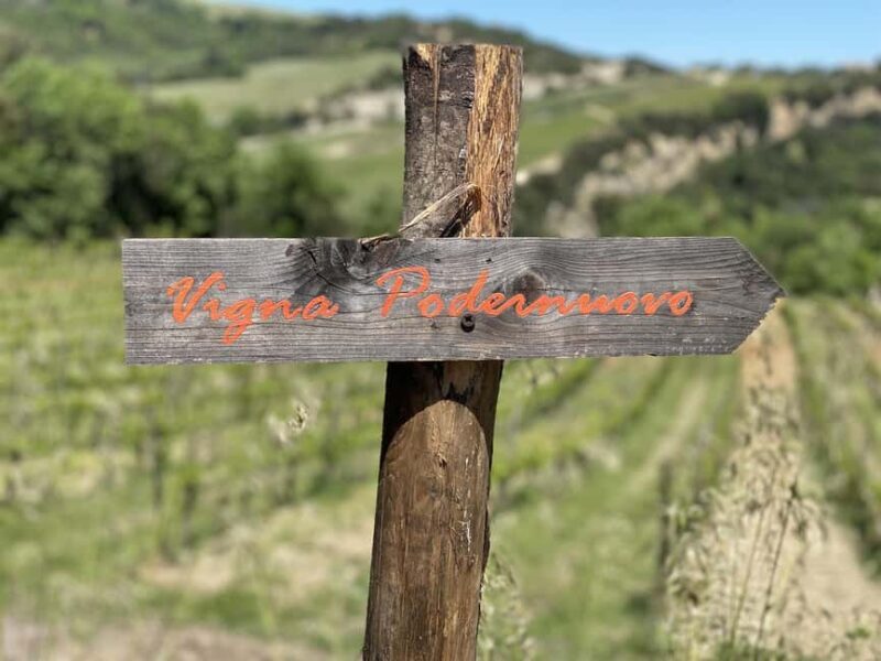 Montalcino: Molino Winery Tour & Wine Tasting - The Sum Up