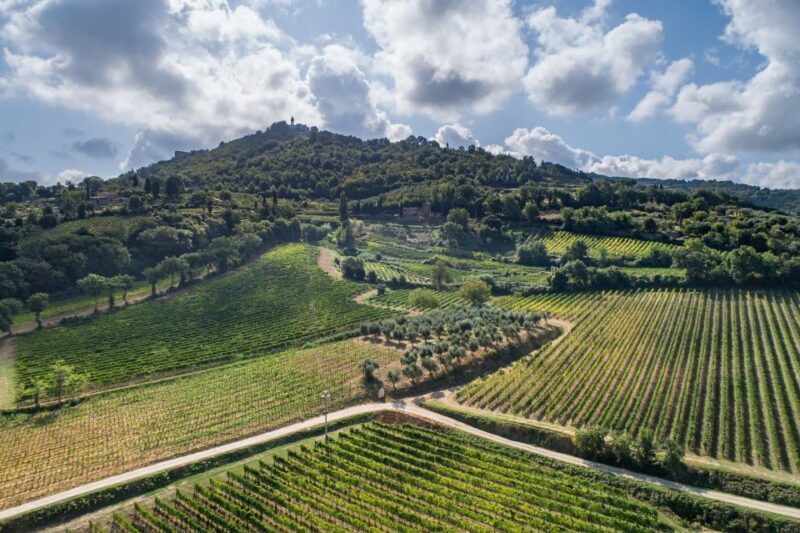 Montalcino: Private Cellar Tour, Wine Tasting & Appetizers - Key Points