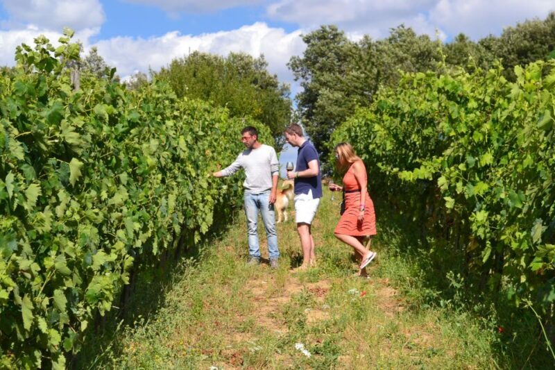 Montalcino: Small-Group Brunello Wine Tour from Florence - Frequently Asked Questions