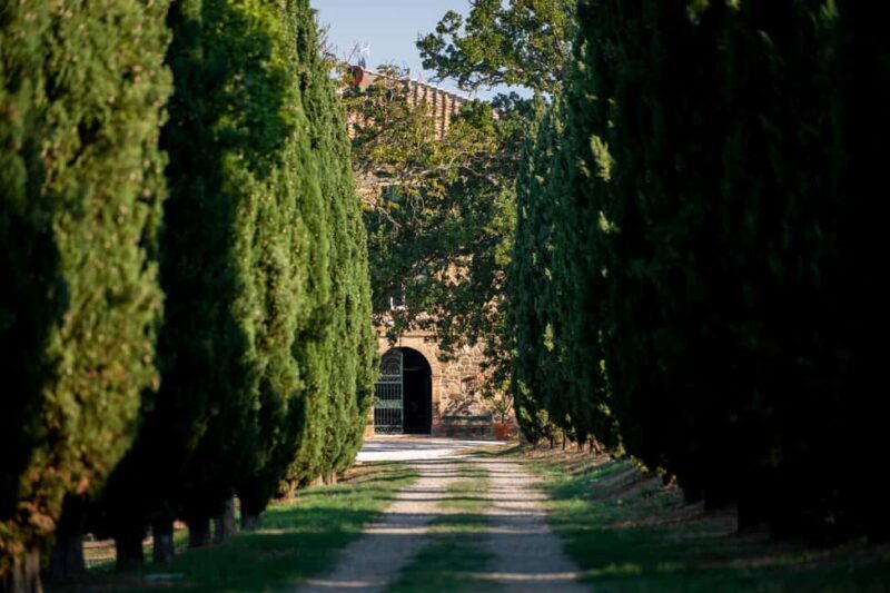 Montalcino: Vertical Tasting - Who Will Enjoy This Experience?