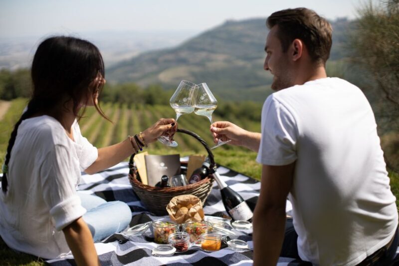 Montalcino: Vineyard Picnic with a Bottle of Wine - Who Should Book This Tour?