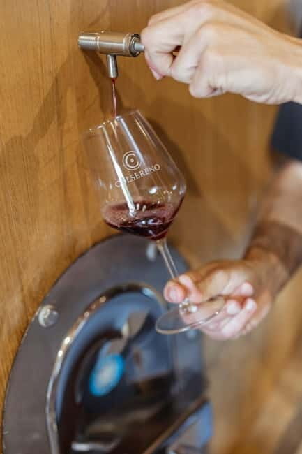 Montalcino: Wine Tasting and Tuscan Lunch - An In-Depth Look at the Experience