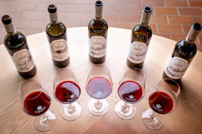 Montalcino: Winery Tour & Gourmet Brunello Vertical Tasting - A Closer Look at the Experience