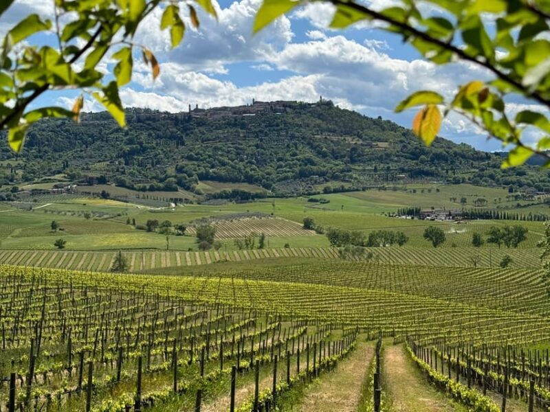 MONTALCINO:Privat E-Bike experience discovering Orcia Valley - Final Thoughts: Is It Worth It?