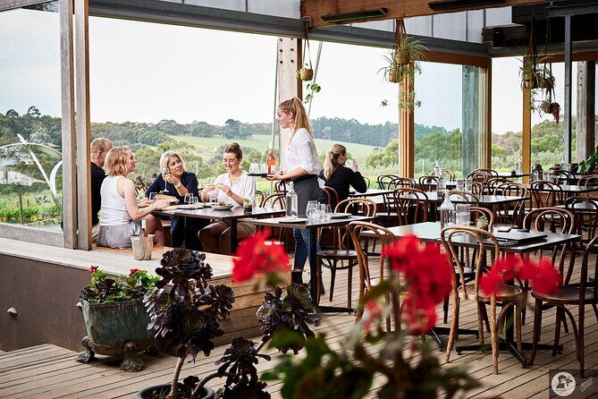 Montalto Vineyard: Mornington Peninsula Discovery Wine Tasting and Lunch - Is This Tour Right for You?