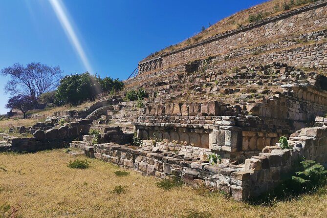 Monte Alban Only - Half Day Guided Tour - Oaxaca - Authentic Experiences and Student-Led Insights