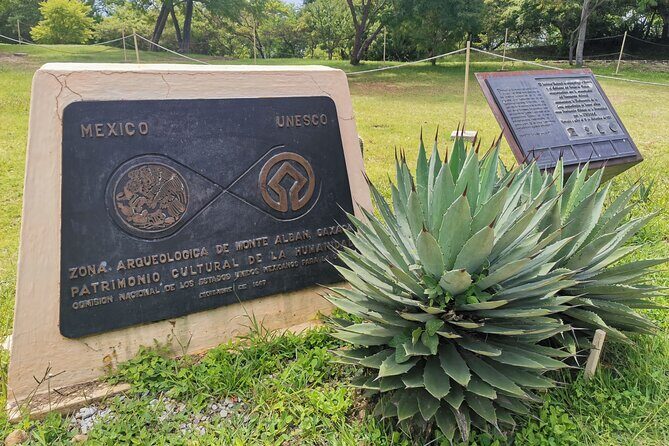 Monte Alban Only - Half Day Guided Tour - Oaxaca - Practical Considerations and Value