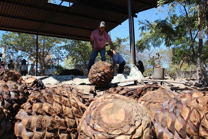 Monte Alban, Teotitlan and Mezcal Tour - FAQ