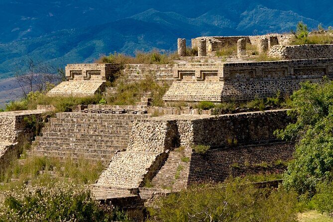 Monte Alban Tree of the Tule Mezcal and Teotitlan del Valle Tour - Exploring Monte Albán: The Heart of Zapotec Heritage