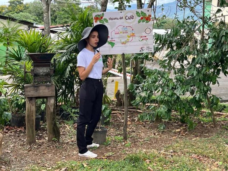 Monte Alto Coffee Tour: Jarabacoa Plantation Experience - Exploring the Monte Alto Coffee Tour in Detail