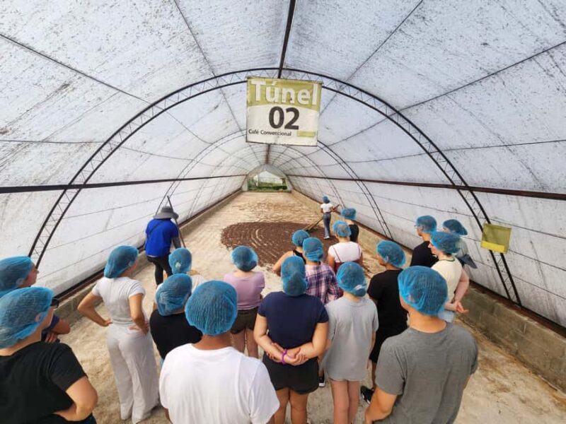 Monte Alto Coffee Tour: Jarabacoa Plantation Experience - Price and Value