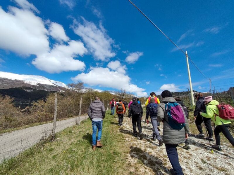 Monte Baldo: Organic Mountain Wines Tour and Tasting - Frequently Asked Questions