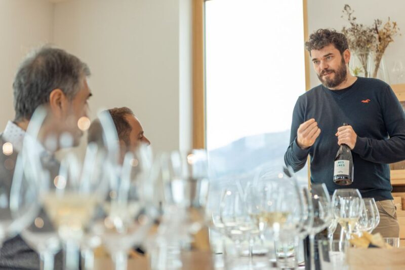 Monte Baldo: Organic Mountain Wines Tour and Tasting - Final Thoughts