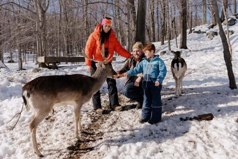 Montebello, QC: General Admission to Parc Omega - Final Thoughts: Is Parc Omega Worth Visiting?
